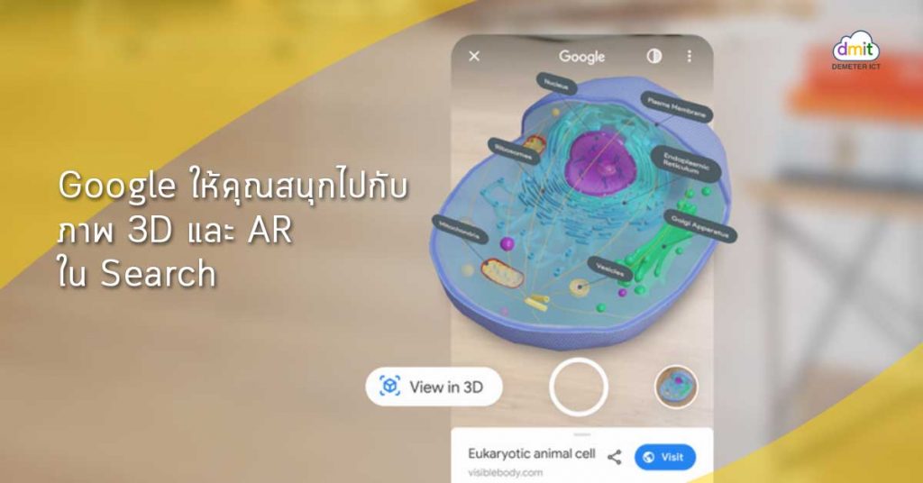 Google ให้คุณสนุกไปกับภาพ 3D และ AR ใน Search - DEMETER ICT