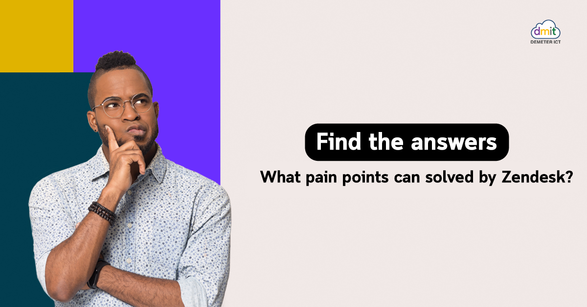 Find Answers What Pain Points Can solves by Zendesk - DEMETER ICT