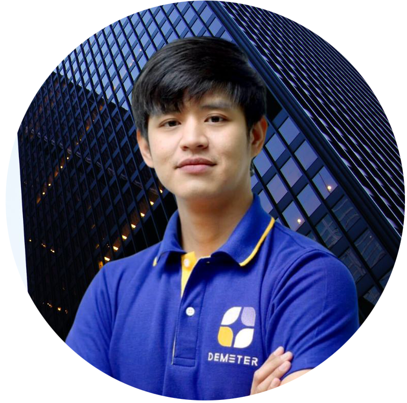 Digital Business Transformation Service | DEMETER ICT