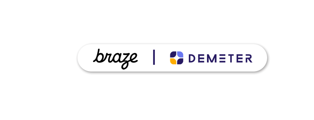 Lunch & Learn Workshop: BRAZE Up Your Customer Journey 2024 - DEMETER ICT