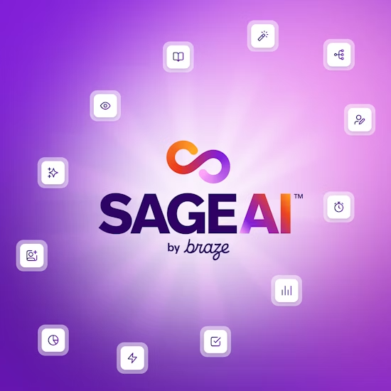 Braze EN | Machine Learning & AI for Optimization - DEMETER ICT