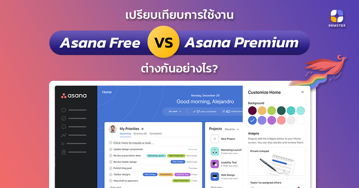 ใช้งาน Asana แบบ Free VS Asana แบบ Premium ต่างกันอย่างไร? - DEMETER ICT